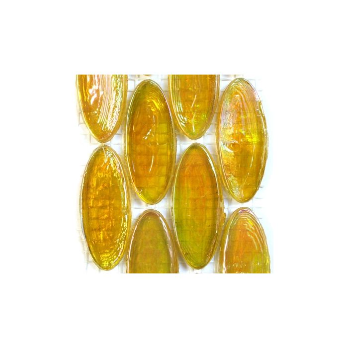Cote D'or - Radiant Ellipse - The Craft Kit