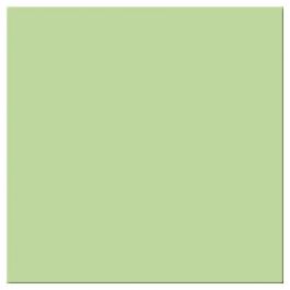 19900 Butterfly Green - Mosa 15x15 - The Craft Kit